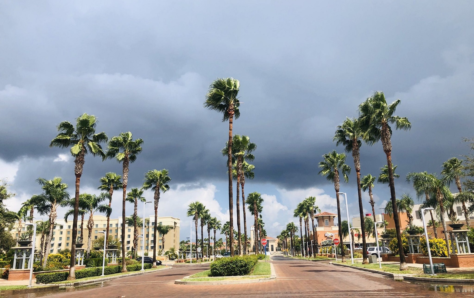 Best Local Lean Six Sigma Experts of McAllen, TX